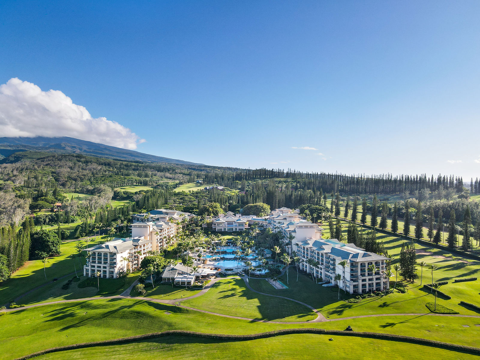 The Residences at The Ritz Carlton by Maui Light Works