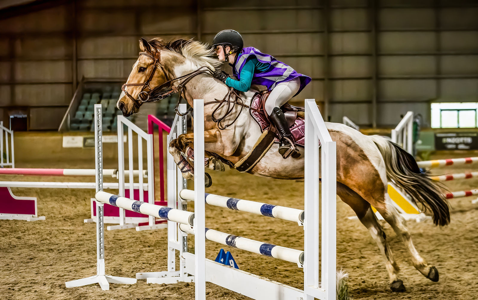 Franklin Thames Valley Area Pony Club Show Jumping Teams Event by BWP ...