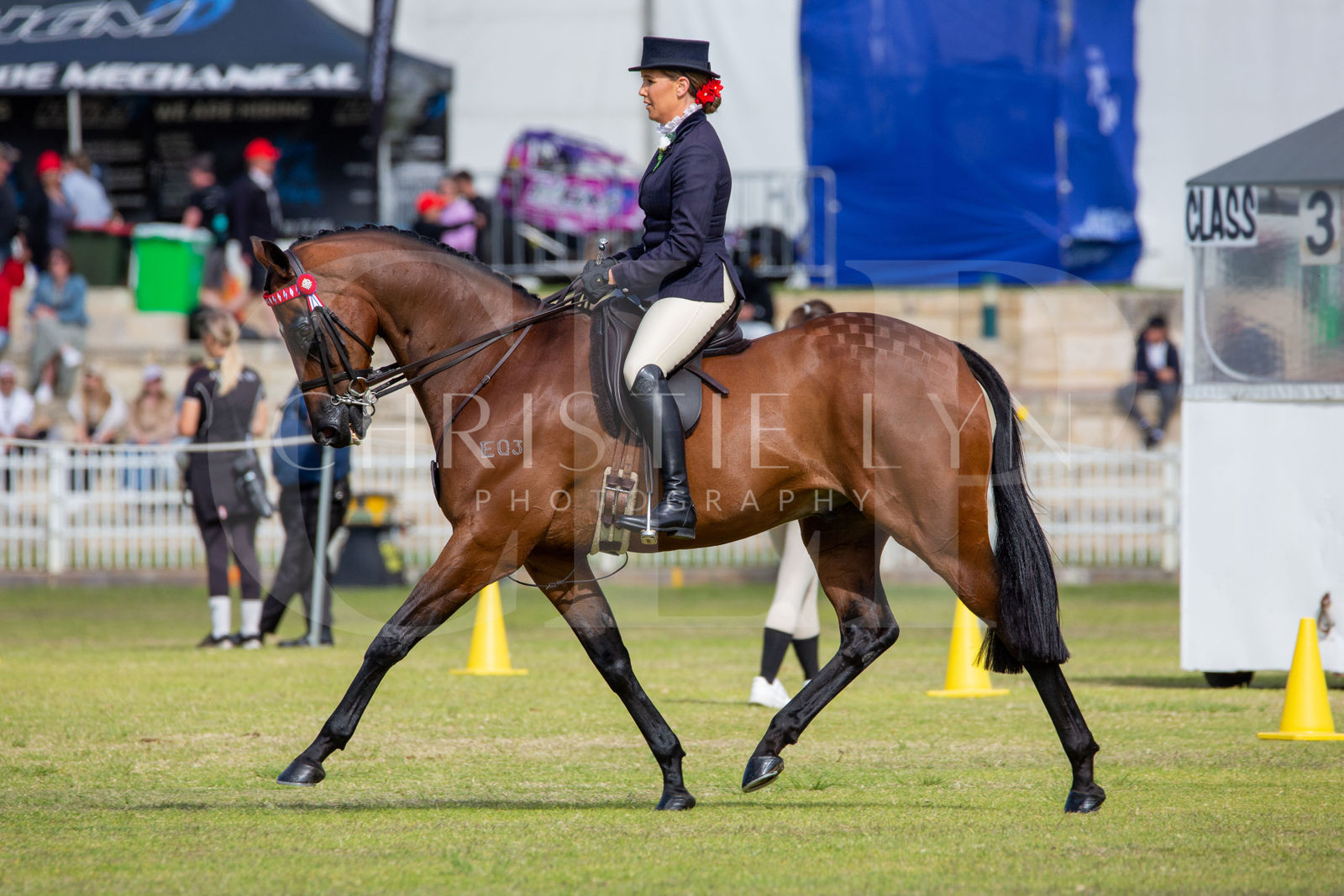 Perth Royal Show - SATURDAY by Christie Lyn Photography