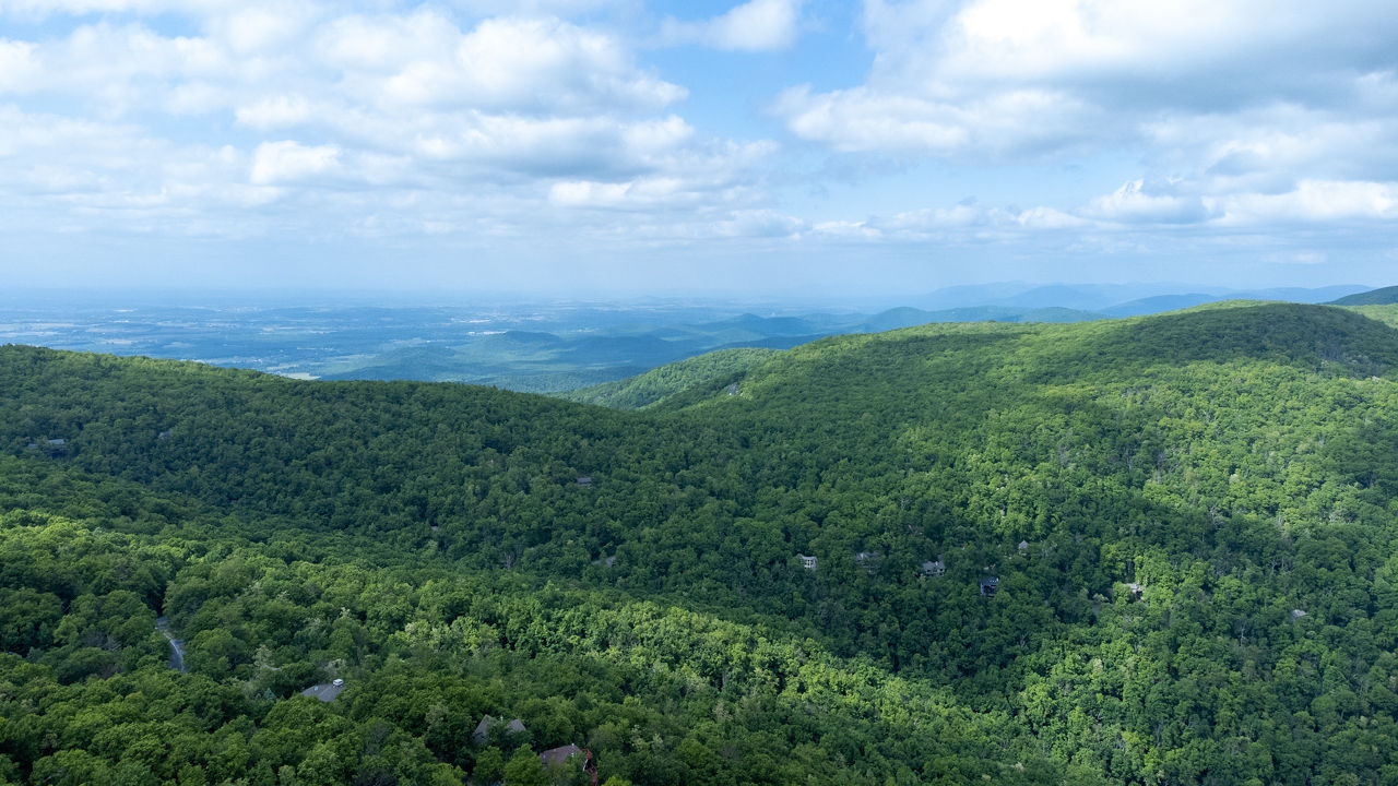 Chestnut Springs Lots 161-163 by Ward Photography