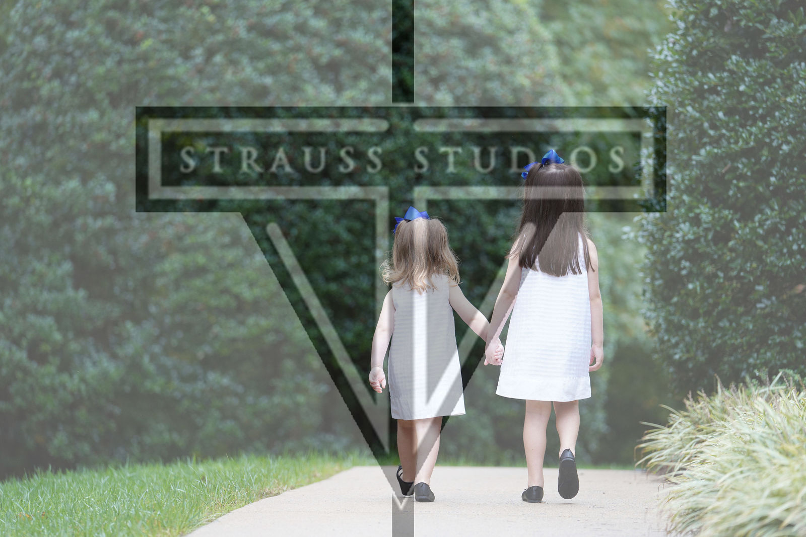 Stachowicz by Strauss Studios