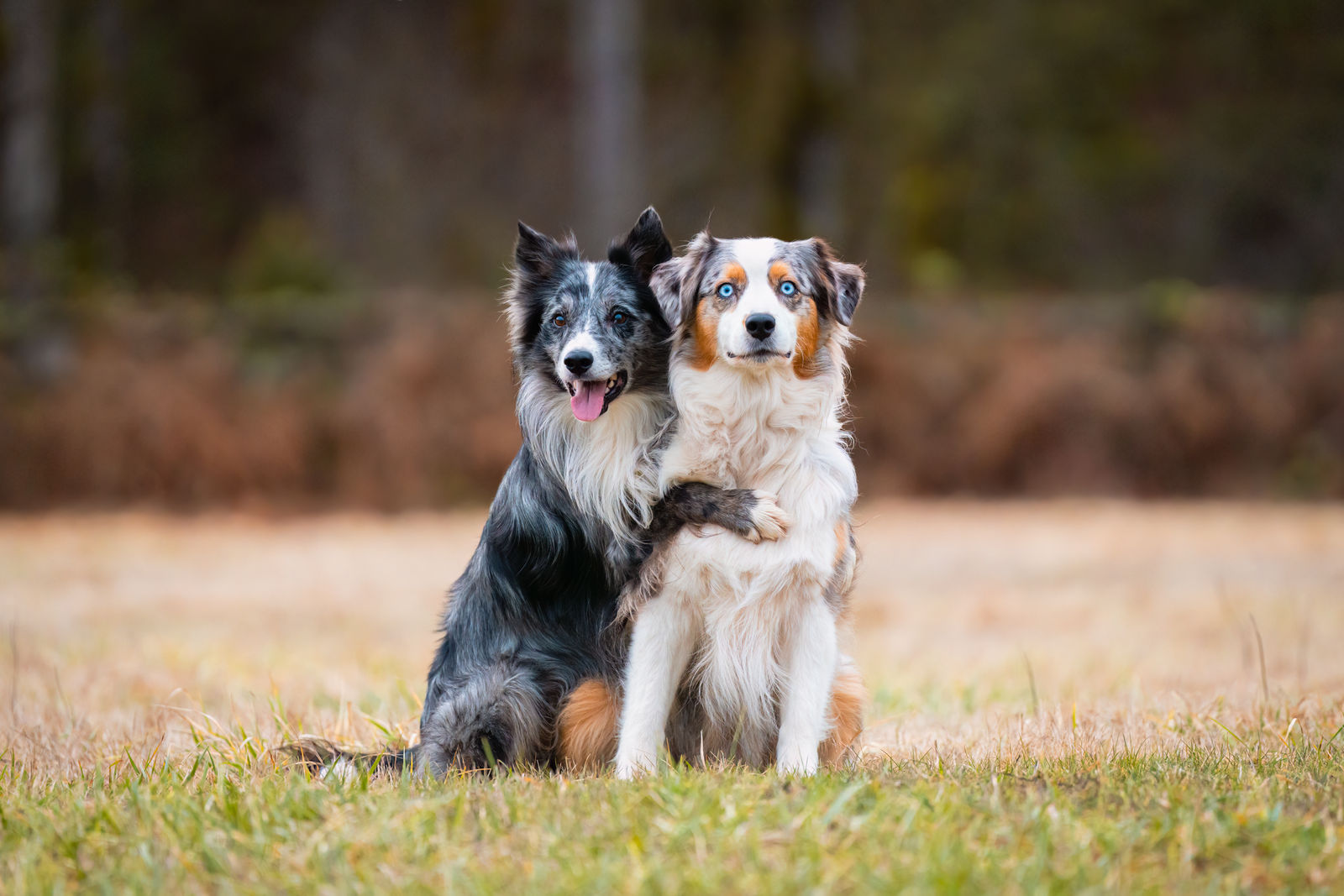 Zanee Mini Session by Courtney VanDyke Photography