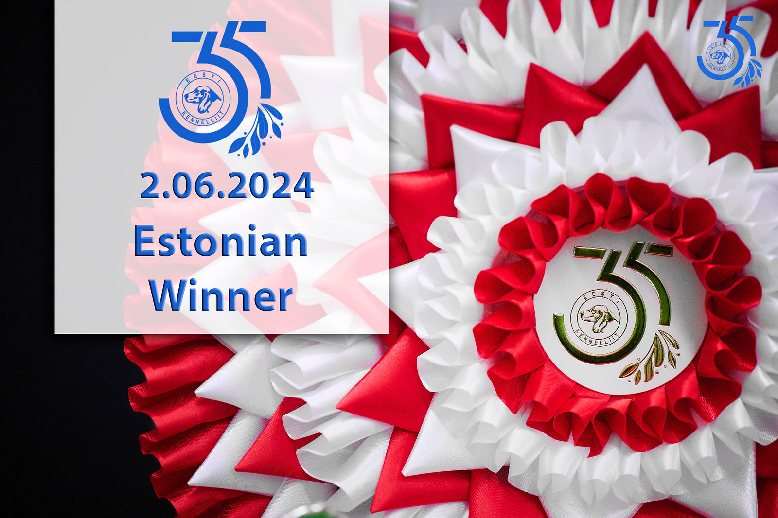 2024-06-02 Estonian Winner BIS by SIA AXD Group