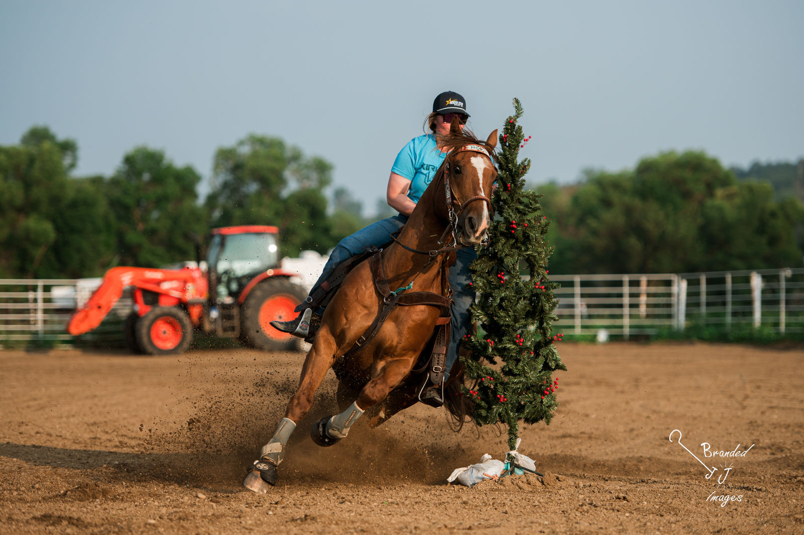 Rockin Around The Christmas Tree Race by Branded J Images