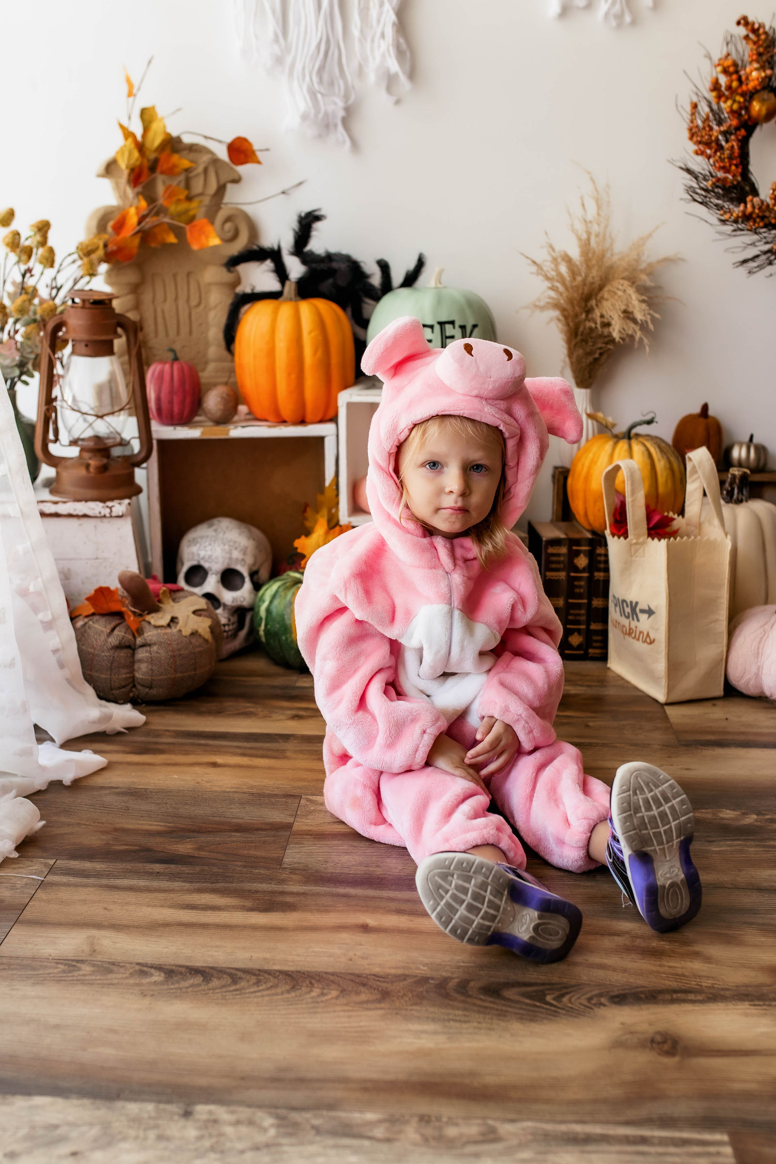 Sanders Piggie by AshLee Wethington Photography