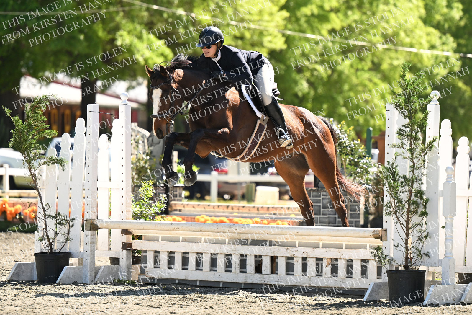 TRIANGLE FARMS SPRING FLING OUTDOORS "C" by Kirsten Hannah Photography LLC