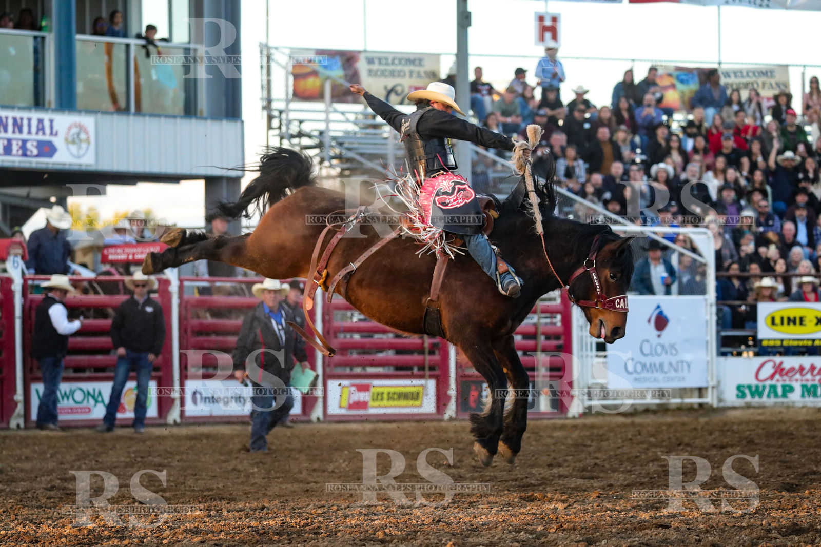 Lefty Holman 2022 by Roseanna Sales Photography