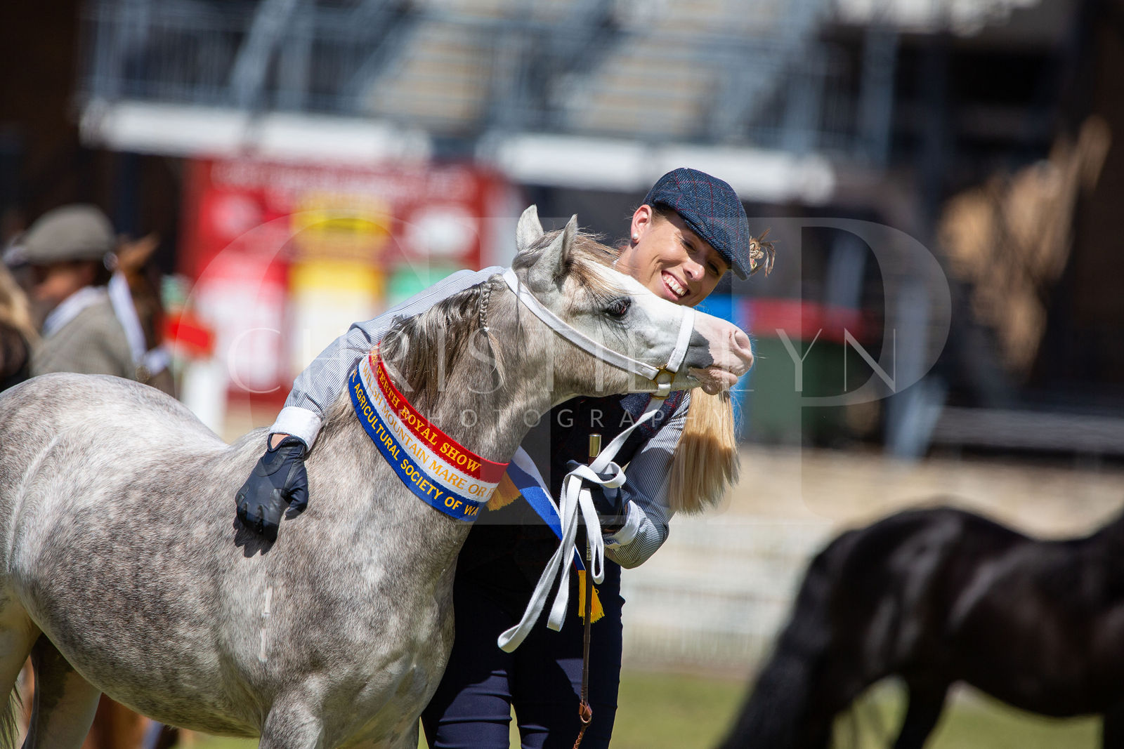 EQUINE BULK COLLECTIONS by Christie Lyn Photography