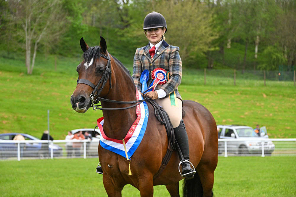 Glanusk Welsh Stallion Show 2023 by EquinePix Photography