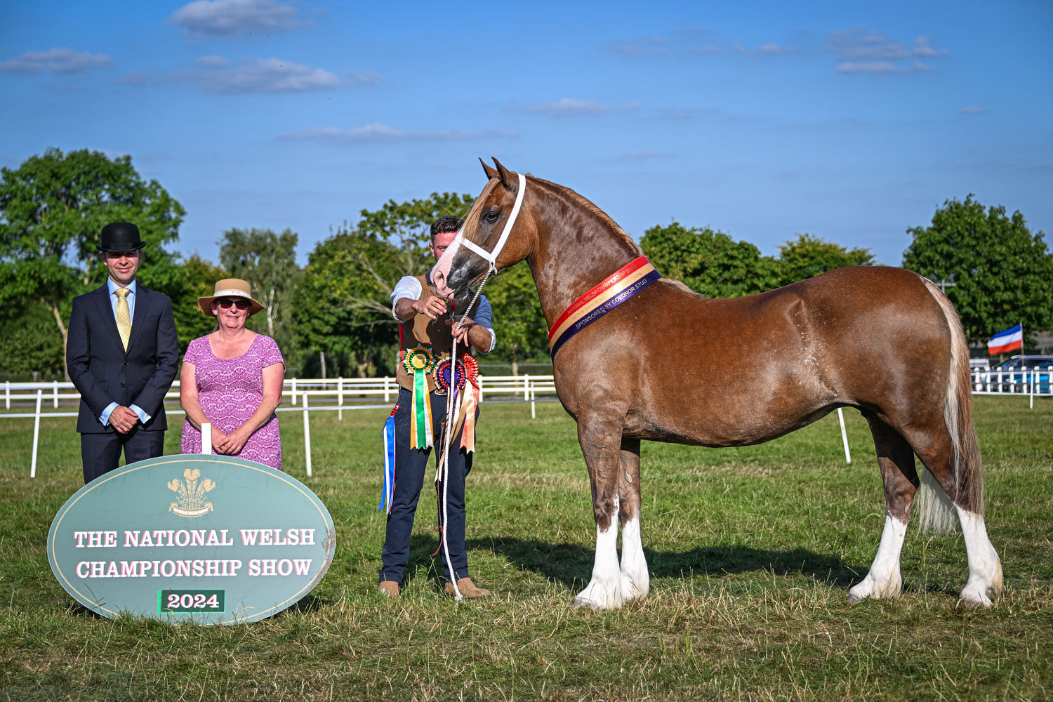 The National Welsh Championship Show 2024 by EquinePix Photography