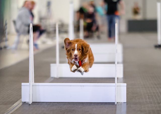 Portfolio Copy - Tiffany Schulze Photography