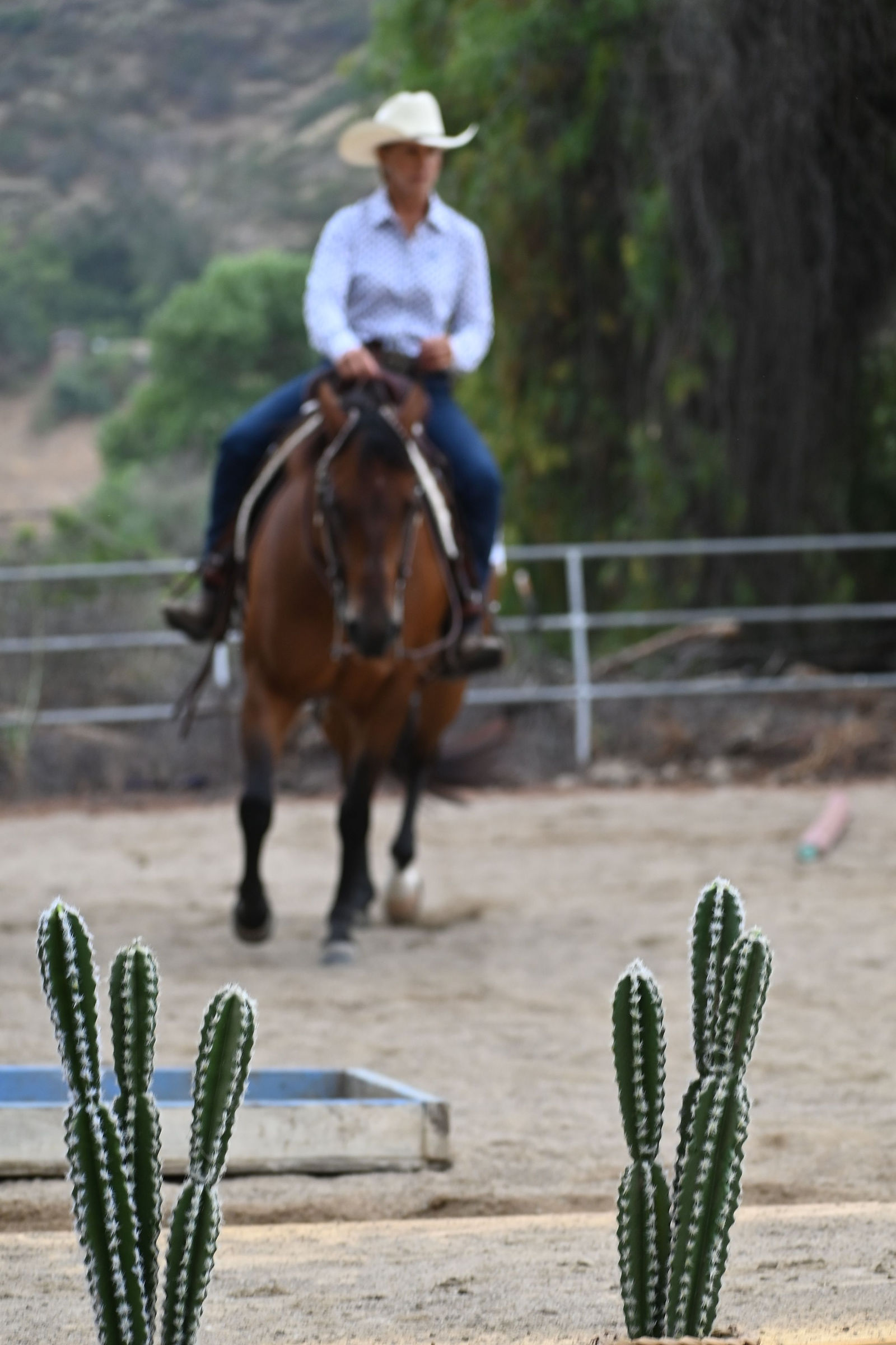 Tumbleweed Ranch Horse Show July 23 2023 by Jen Berry Photography
