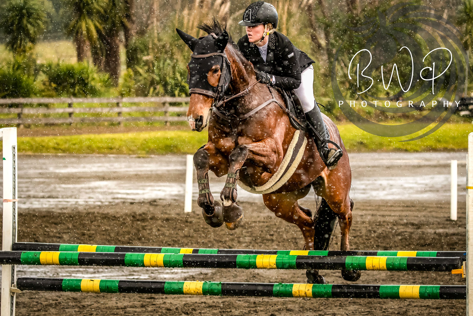 GJ Gardner Homes Grand Prix Show Jumping Show by BWP_Photography