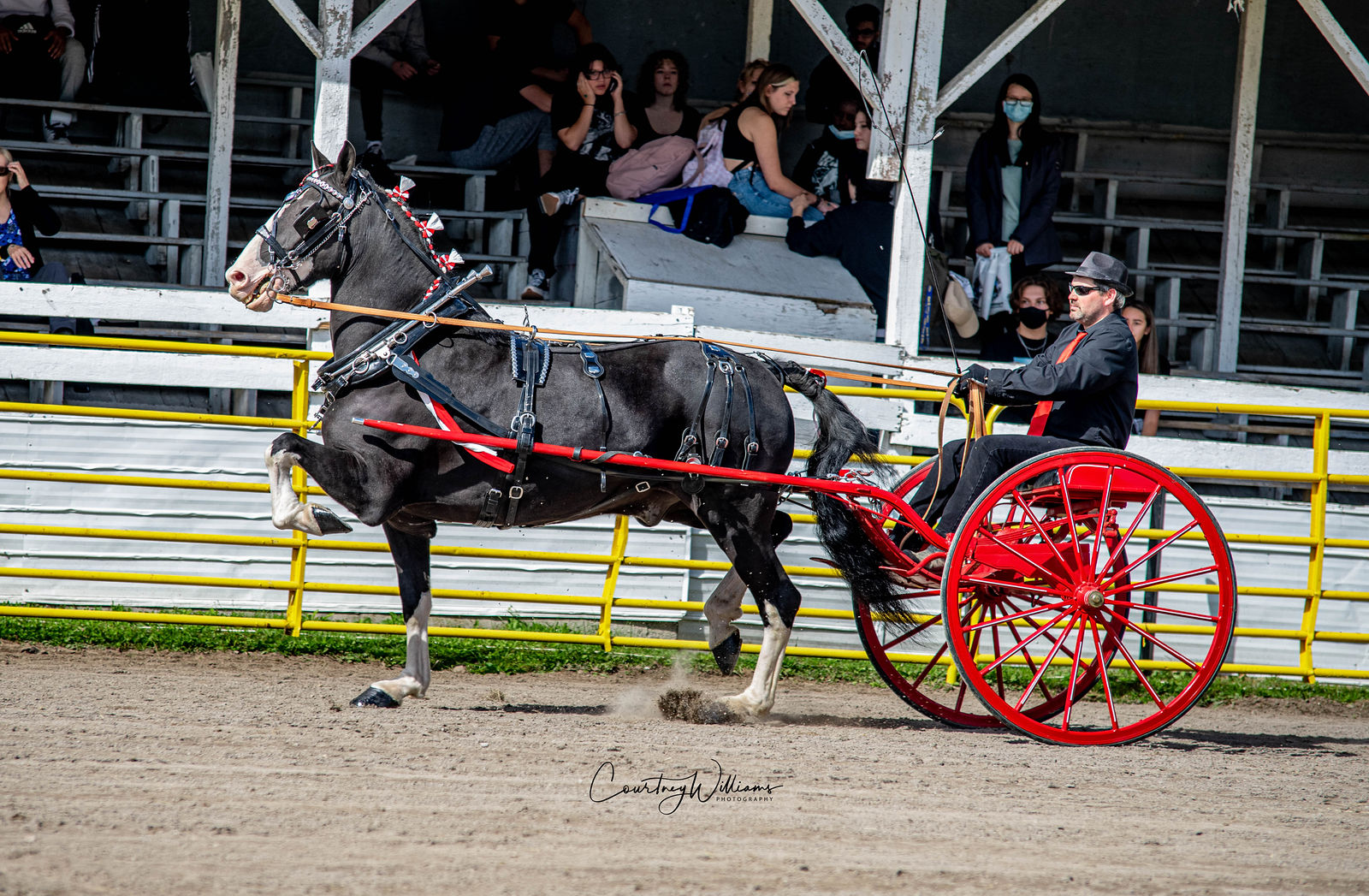 Metcalfe Fair 2021 by Courtney Williams Photography