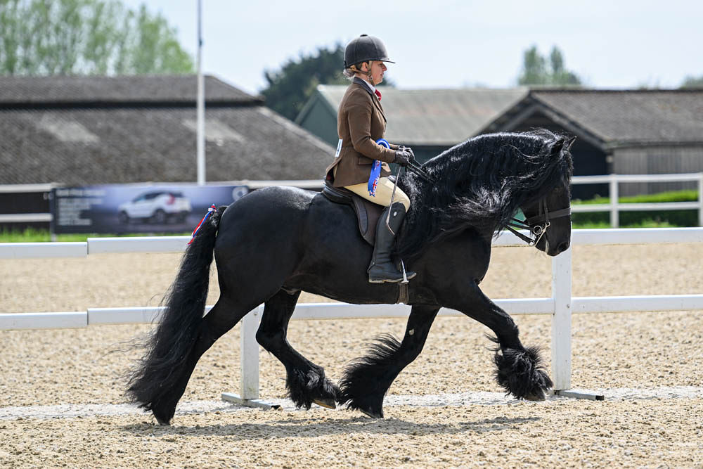 NPS Area 25 Summer Show 2023 by EquinePix Photography