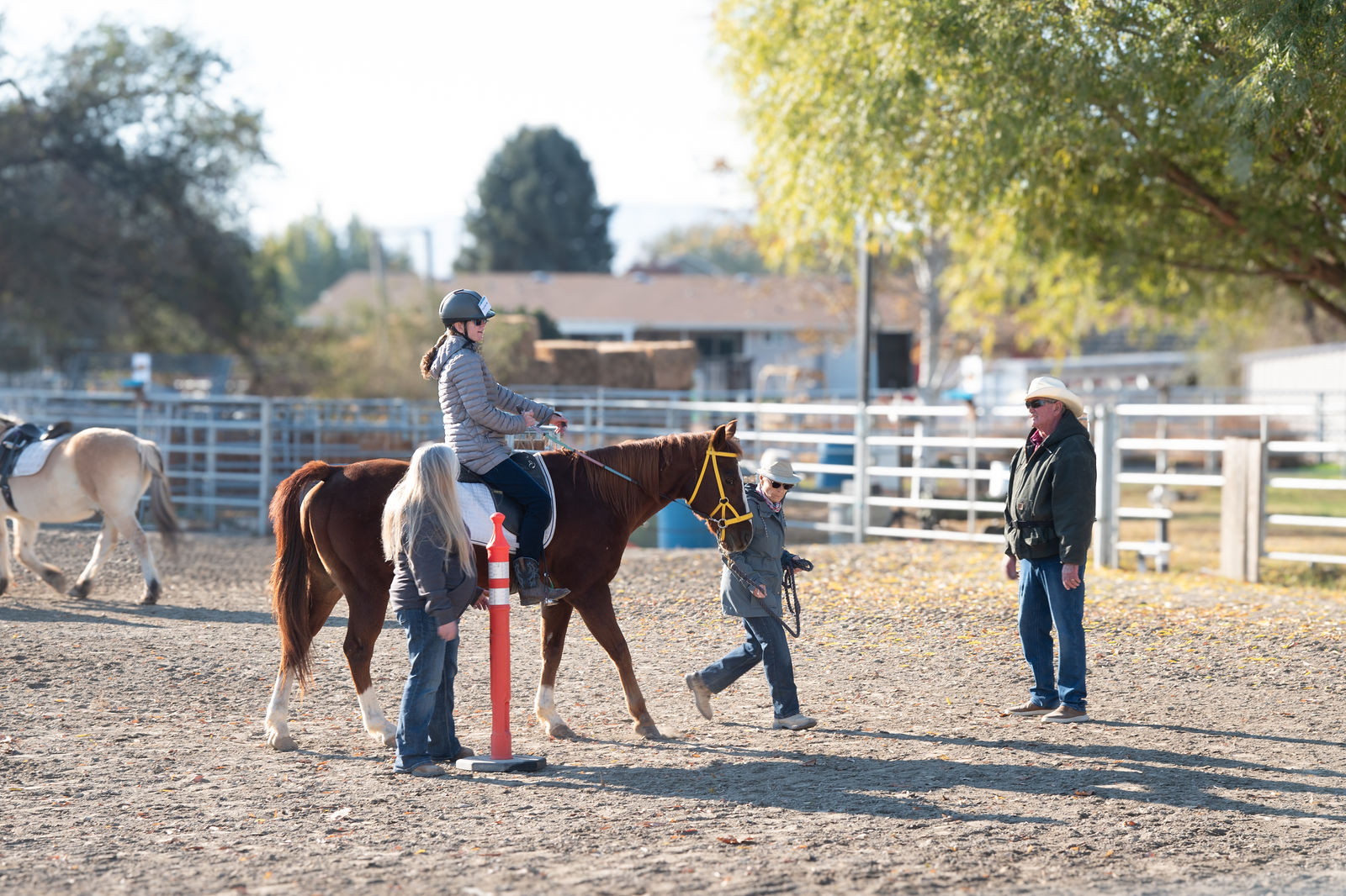 TROT by marsha keeney photography