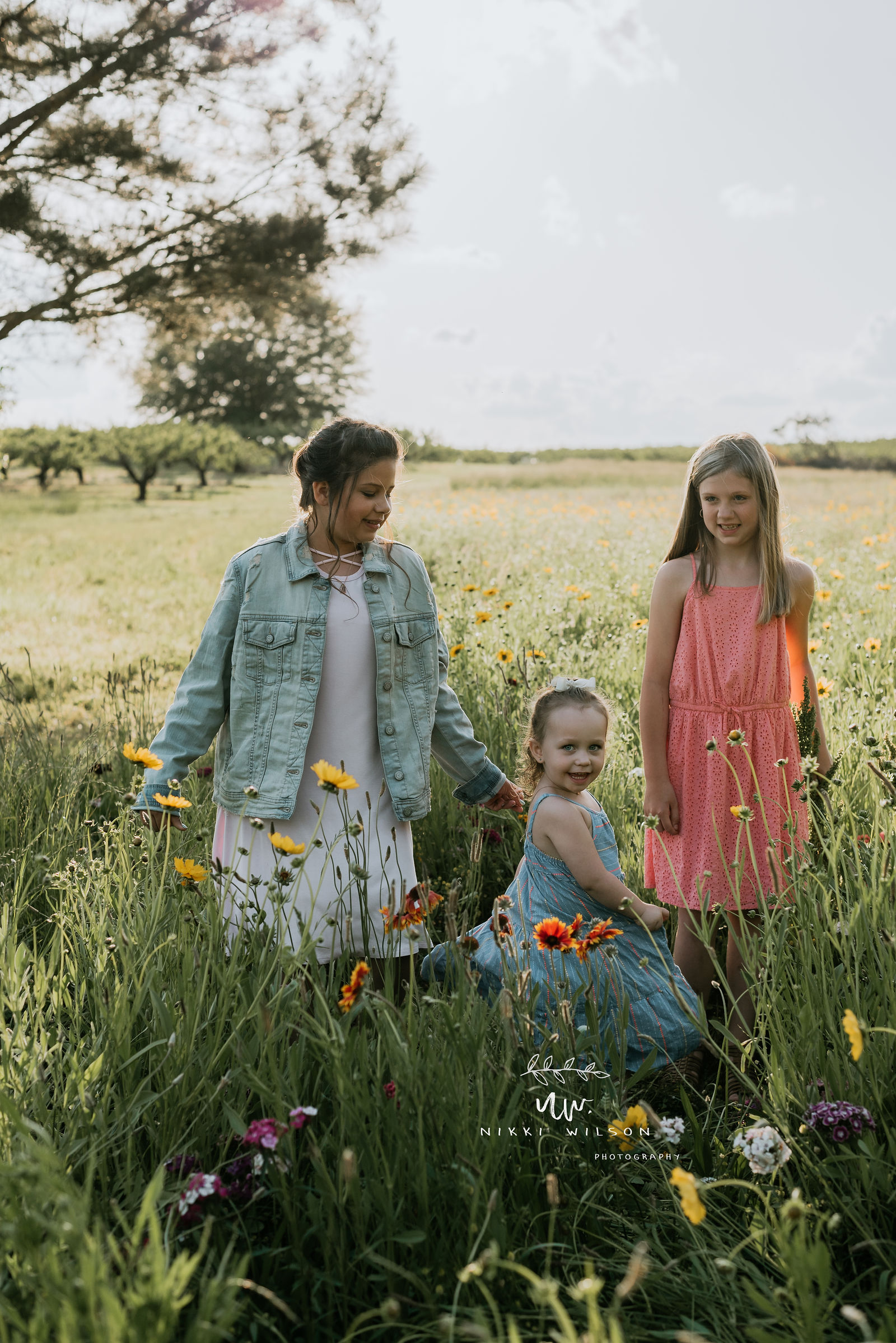 Mackenzie , Addy , Macie + Anna | Wild Flowers \ Gregg Farms by Nikki ...