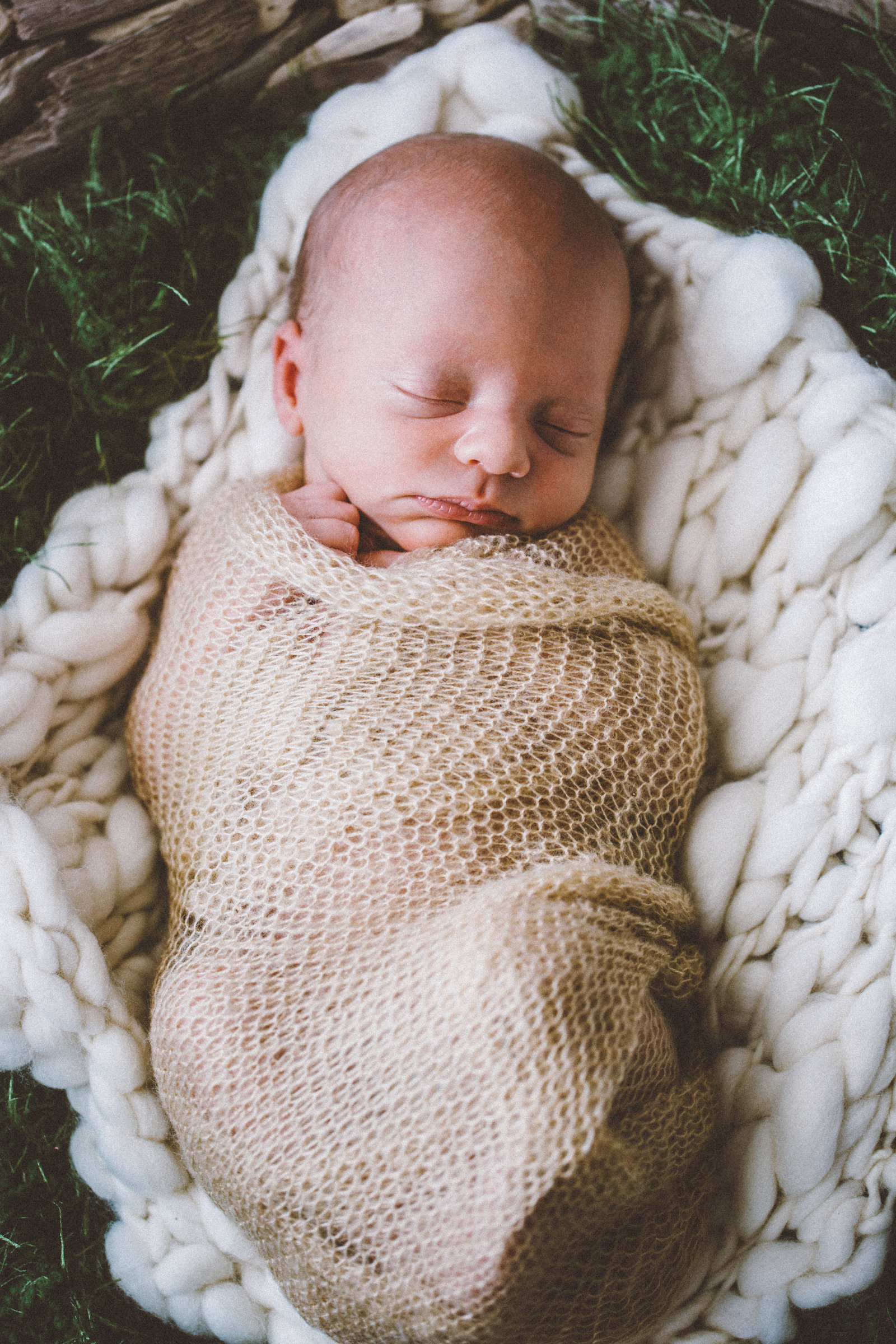 Baby Tanner by Shutterfreek