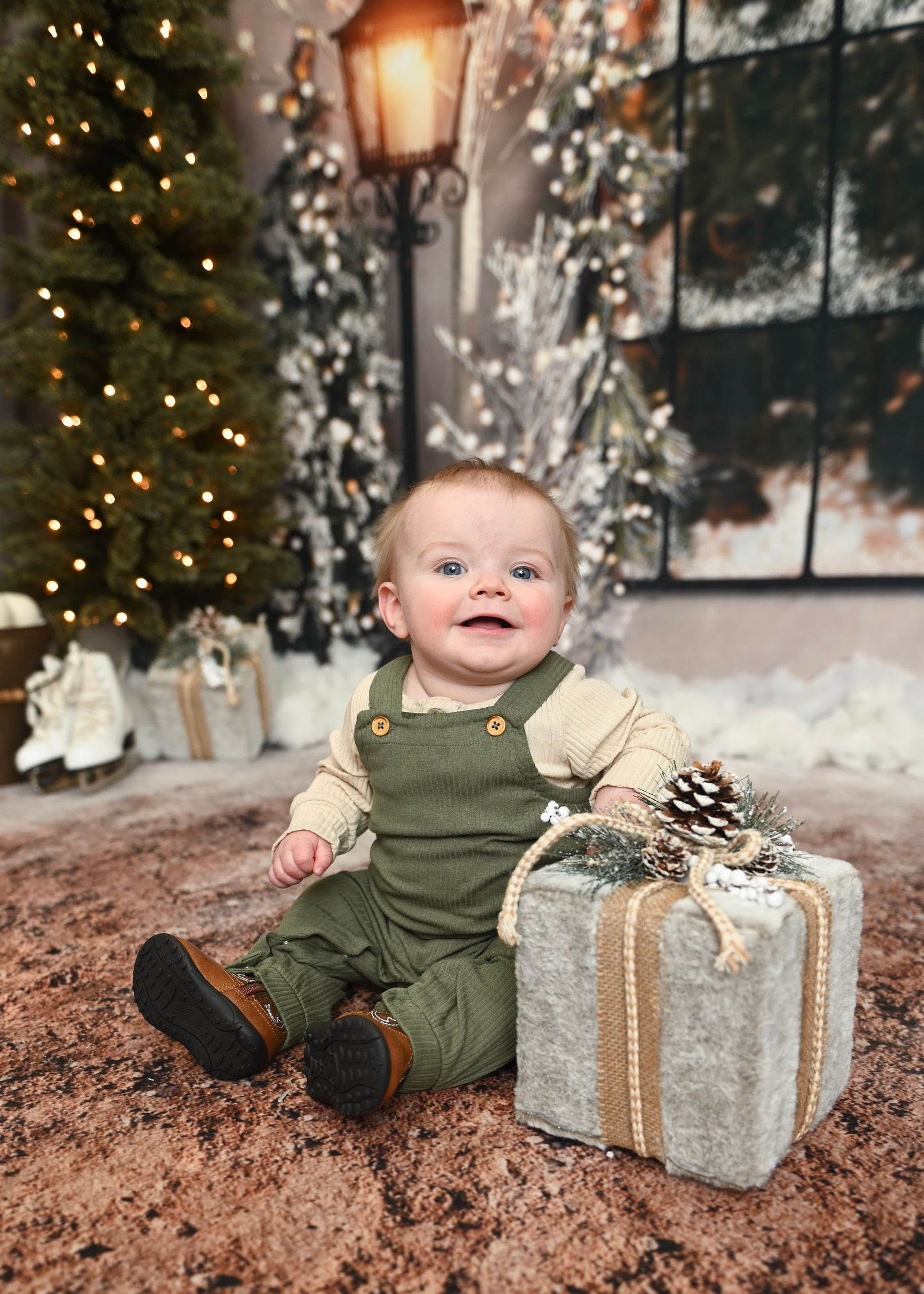 Christmas2023-Ari Reed by Dream Capture Photography by Krista Ungerecht
