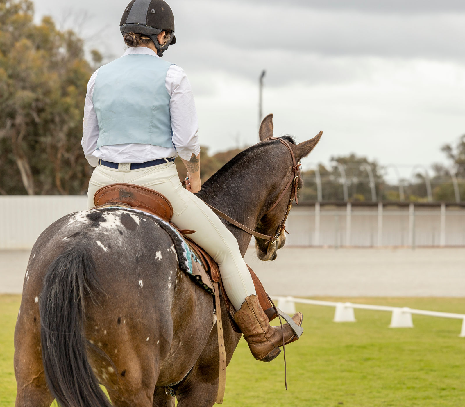 Wagin Woolorama Halter Breed and Unregistered Ridden 2022 by Cheryl ...