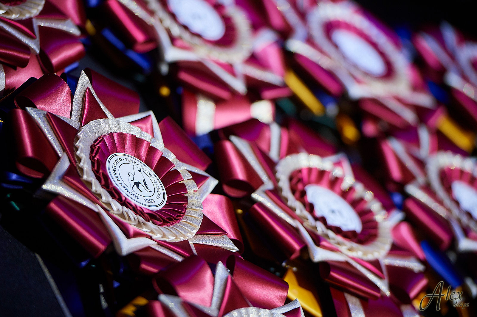 2022-12-04 Voittaja Winner BIS by SIA AXD Group