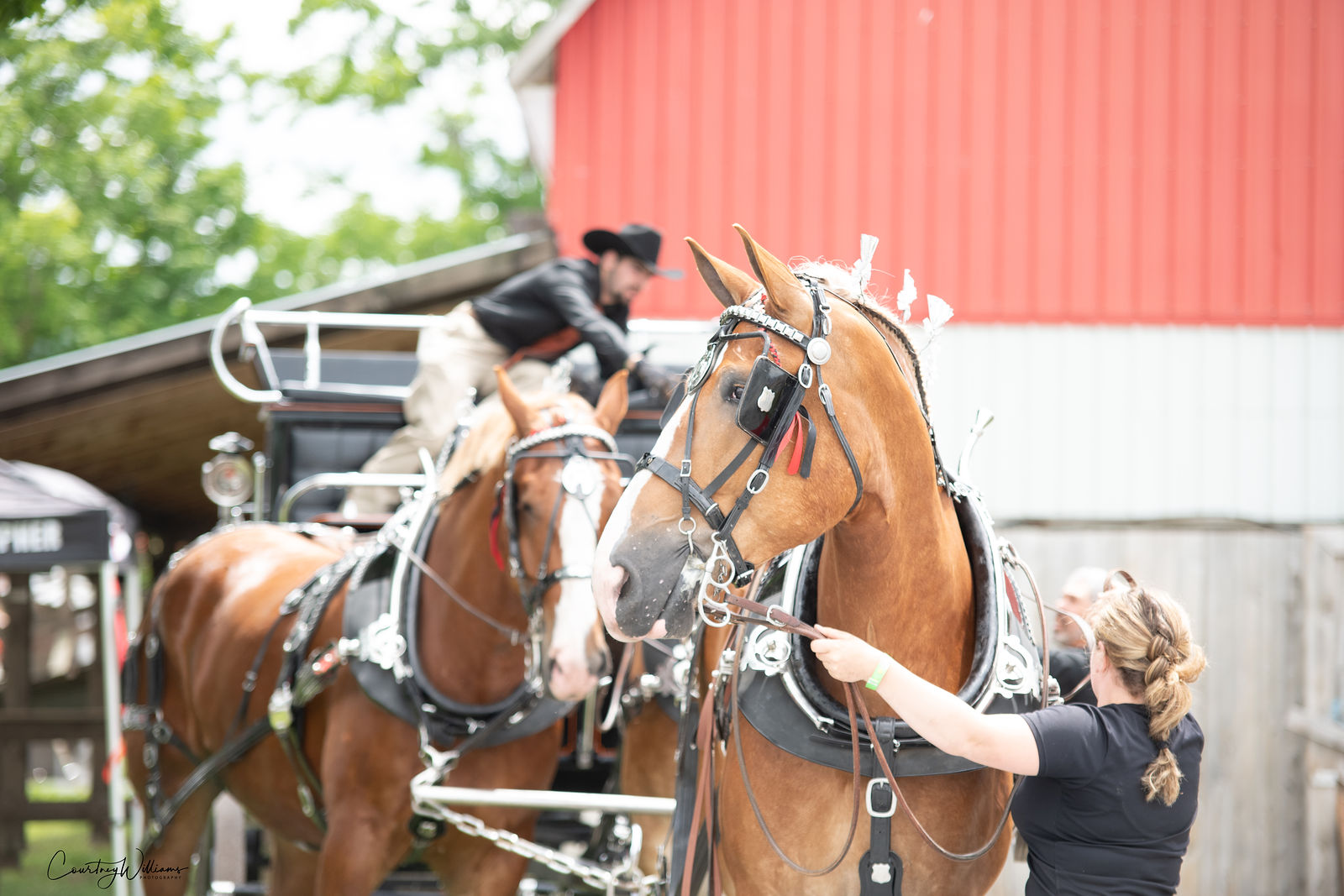 Mario Nadeau 2022 by Courtney Williams Photography
