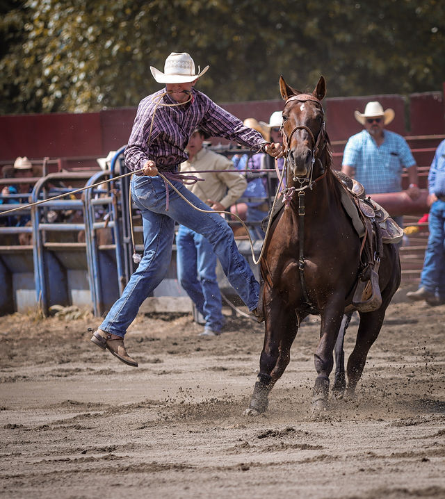 2025 NPRA Roy Rodeo by Elaine's Photography