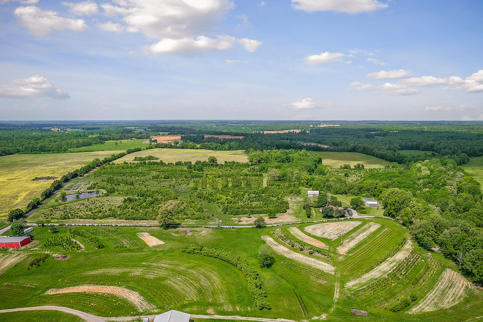 1051 Herman Lance Rd. by Bryan Ladd Photography