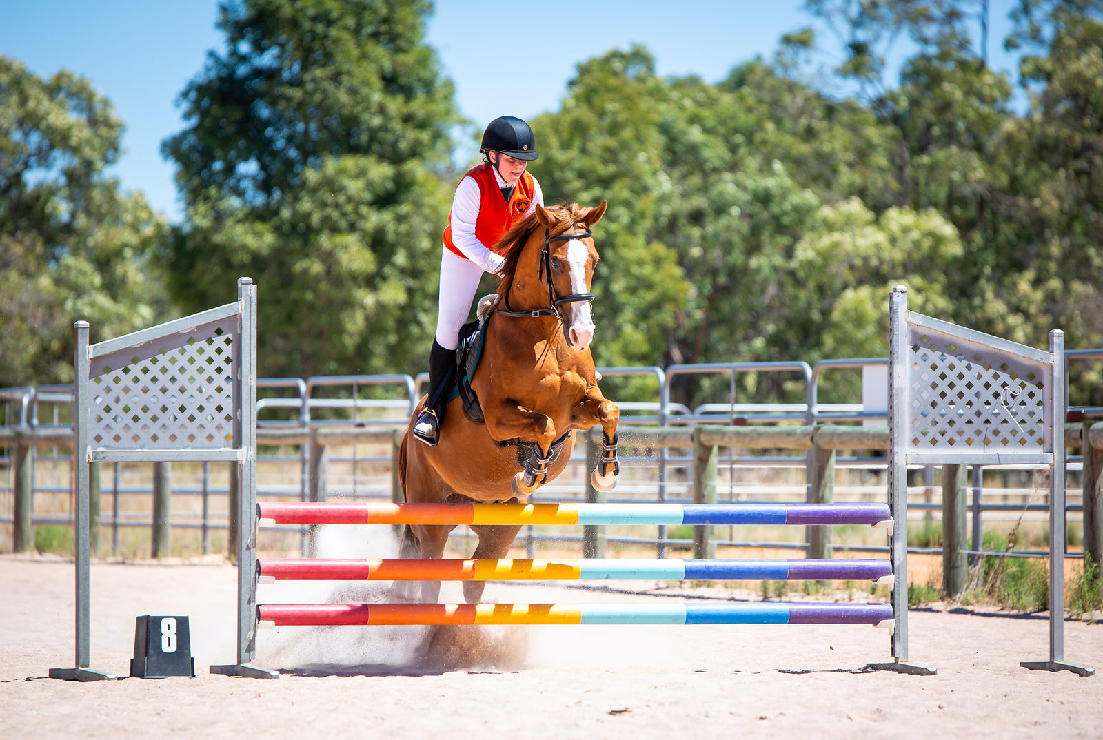 Murray HPC Dressage & Show Jumping by Kelly Thomas Productions Murray HPC Dressage & Show Jumping by Kelly Thomas Productions