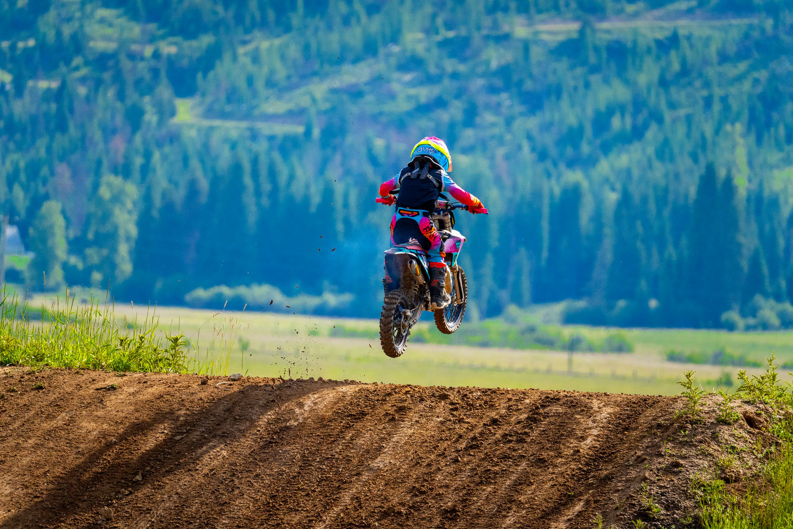 Potter 2024 P.R.O Fossil Bowl by Gate Drop Productions