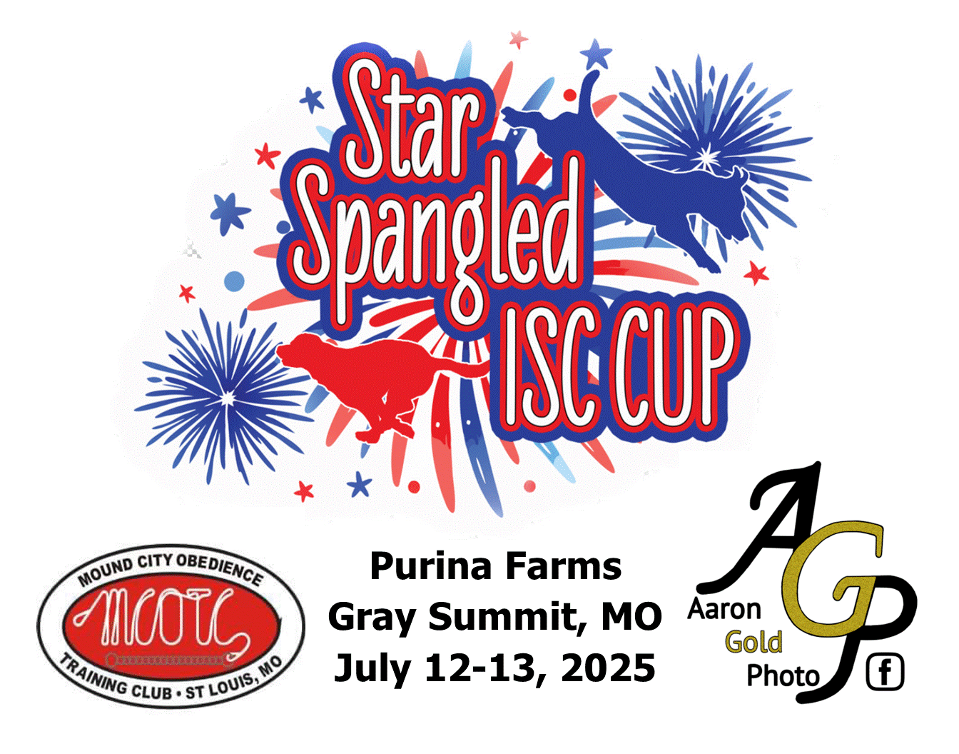 ISC Agility by Aaron Gold Photo