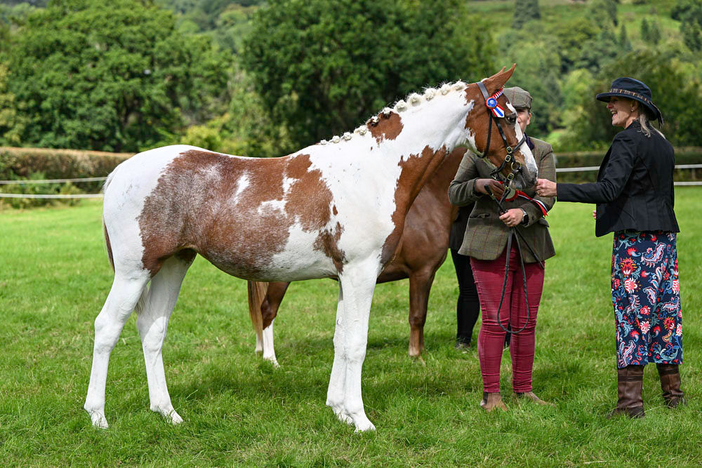 Erwood Show 2023 by EquinePix Photography