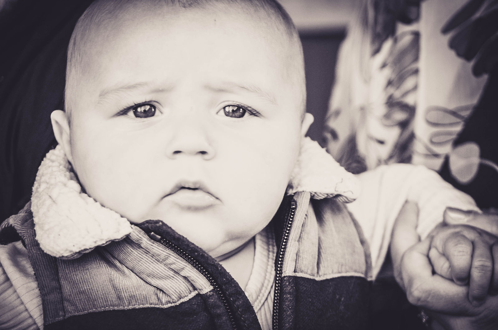 Tucker Family by Whitney Watkins Photography
