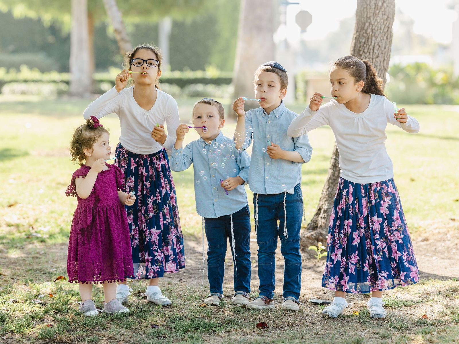 Nina - Family Session 2024 by Infinity Photo (Campbell Family Photography)