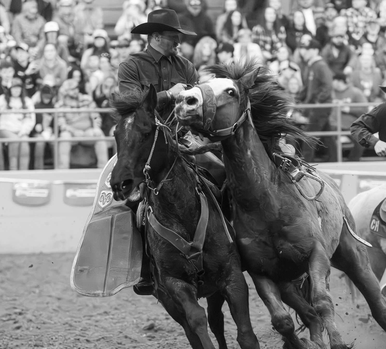 2025 Elma Rodeo by Elaine's Photography