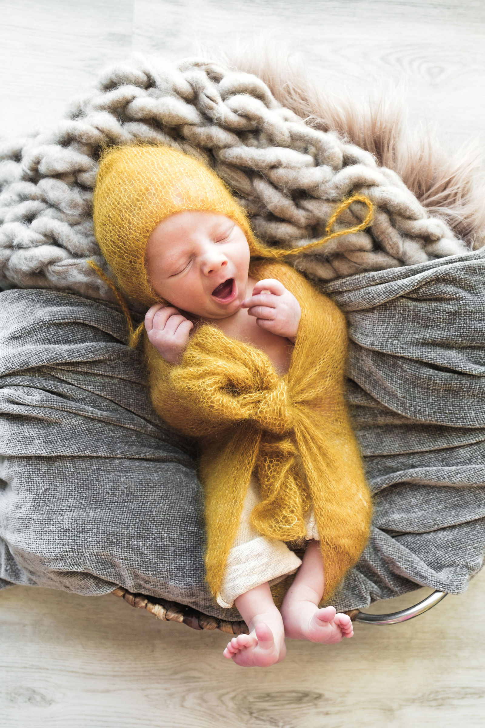 Baby Gintas by Amber Shore Pictures