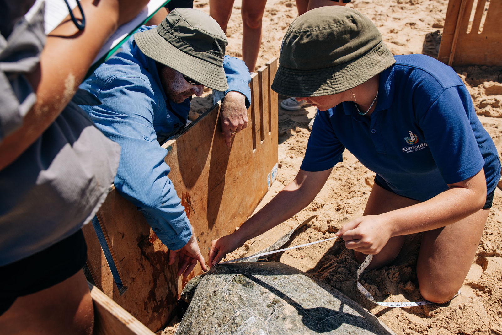 EDHS Turtle tagging -CSIRO by Blue Media Exmouth