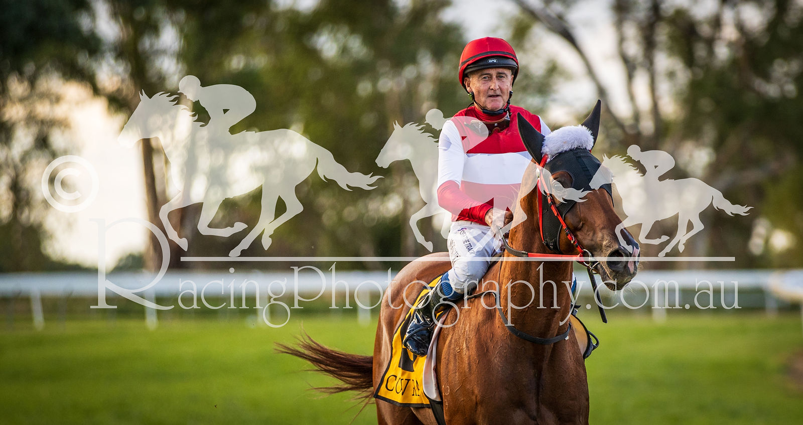 Xtra Pics - His Honour, Michael Heagney / Andrew Molloy by ...