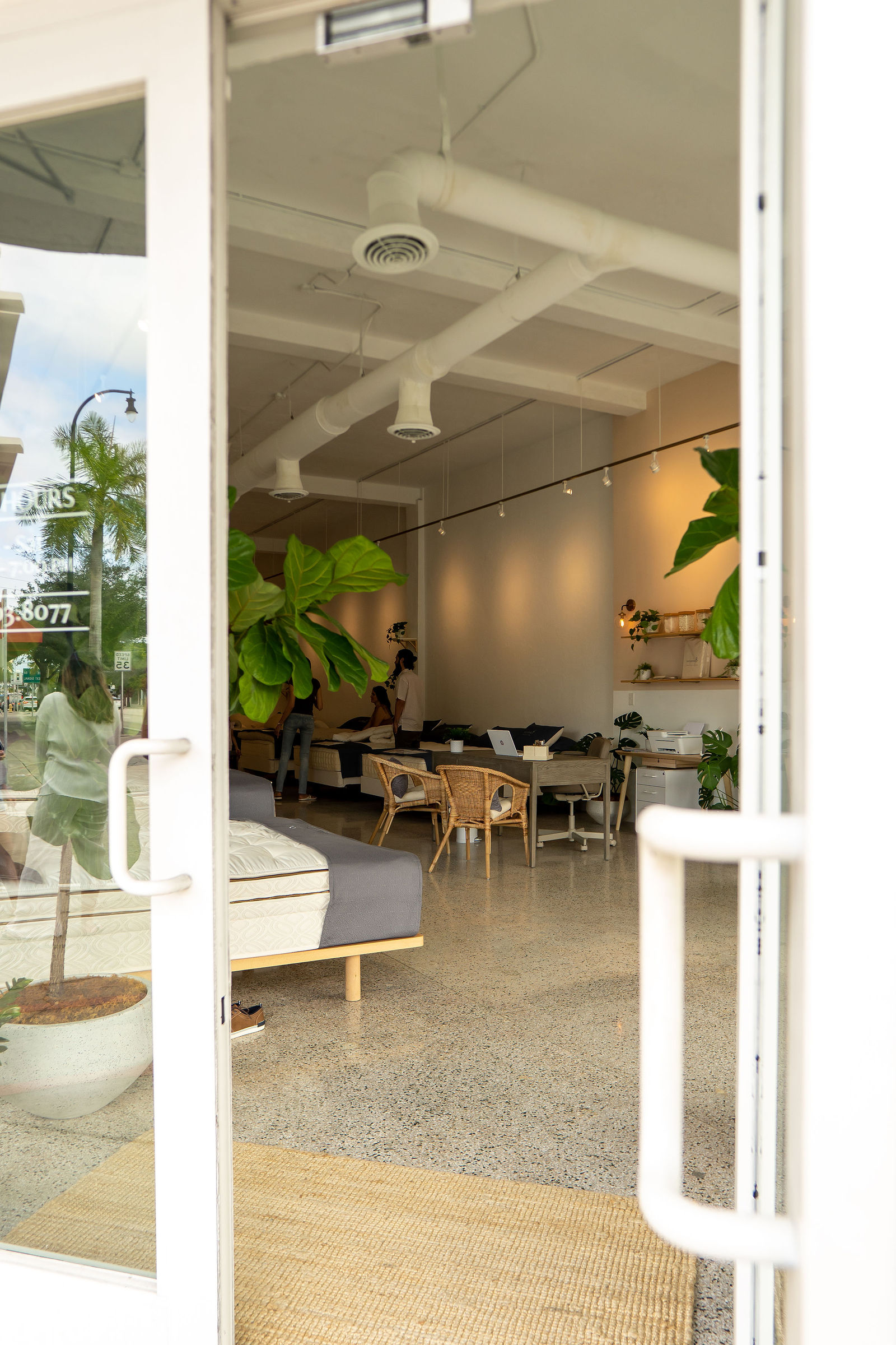 SEB Organic Mattress Store by Rachel v Rose