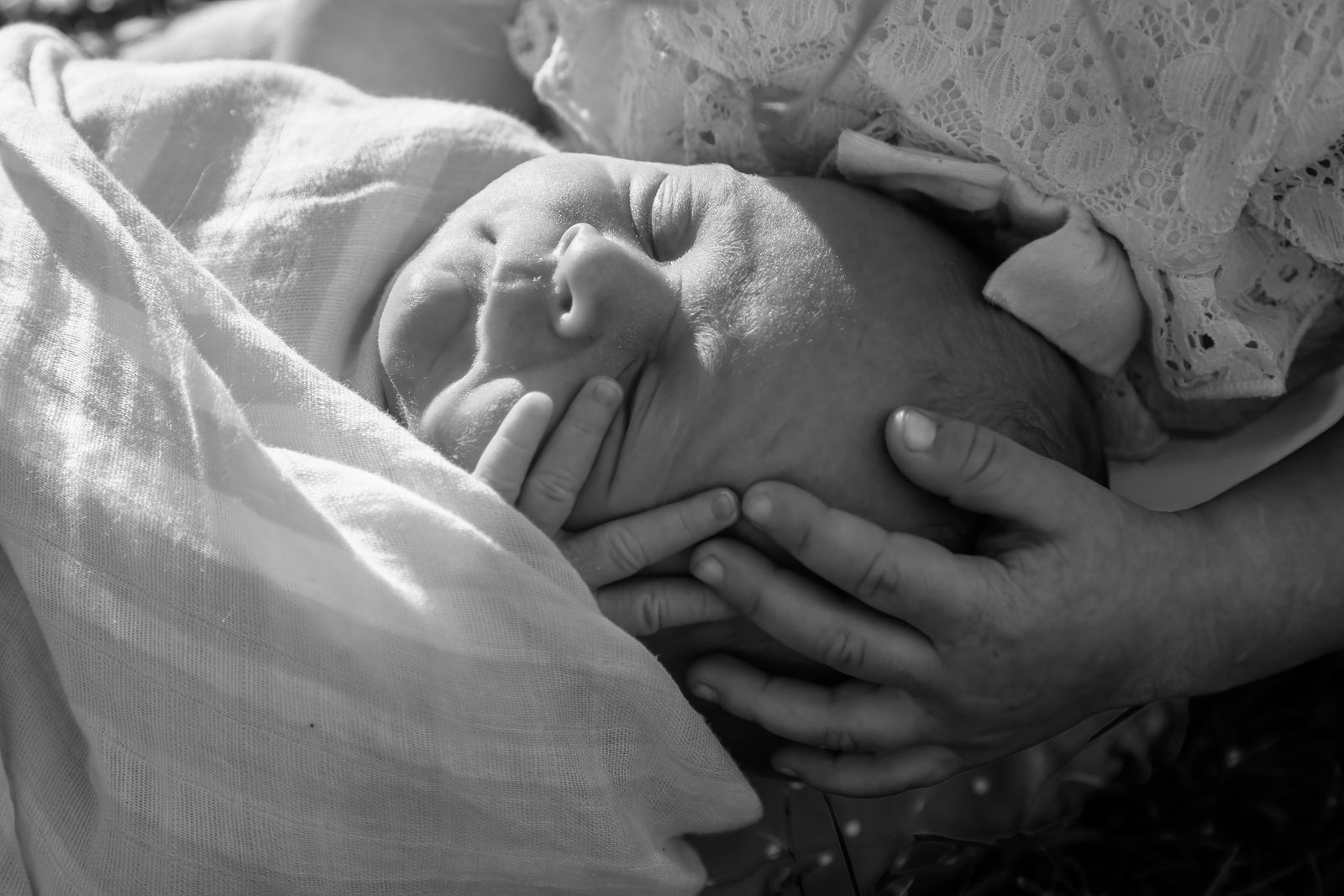 Lifestyle Newborn Photos Nerstrand MN 2021 By Silverthorn Photography LLC