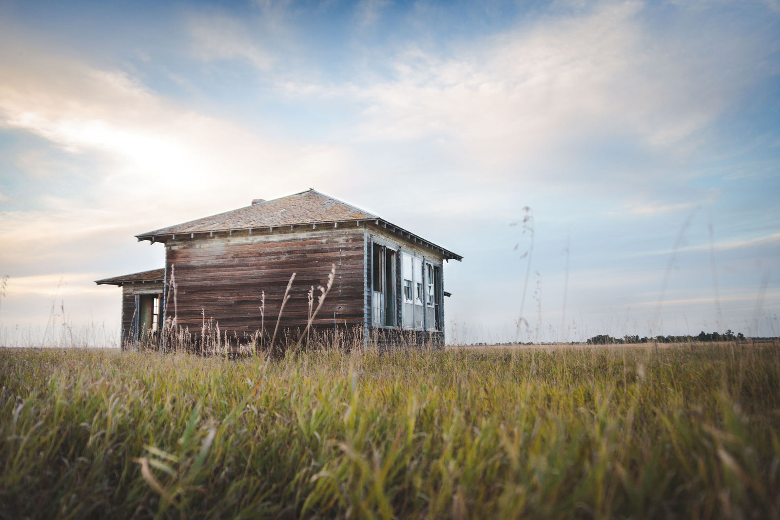 Prints by Lammers Design + Photography