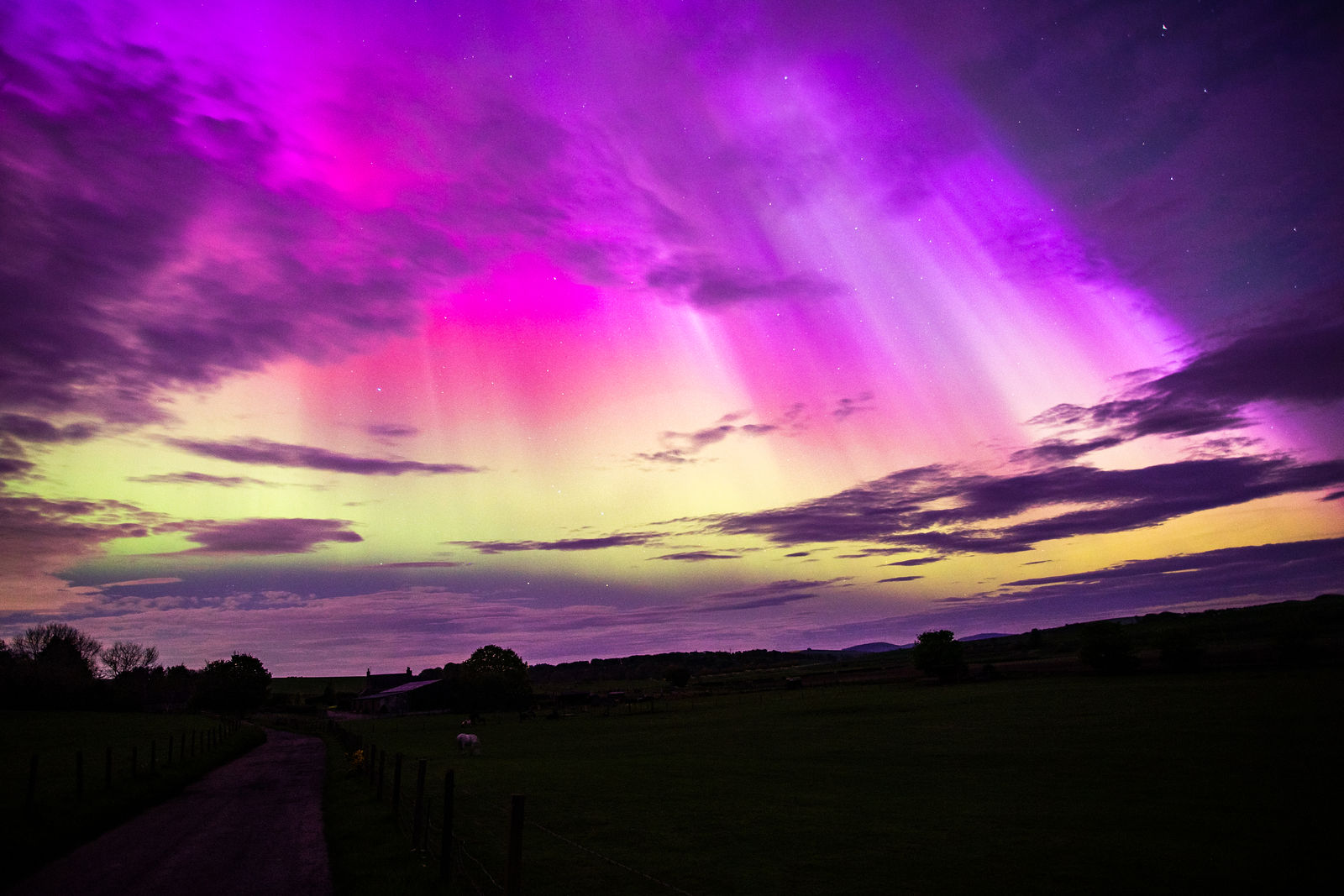 Chris Hewitt by Mairi Grant Photography