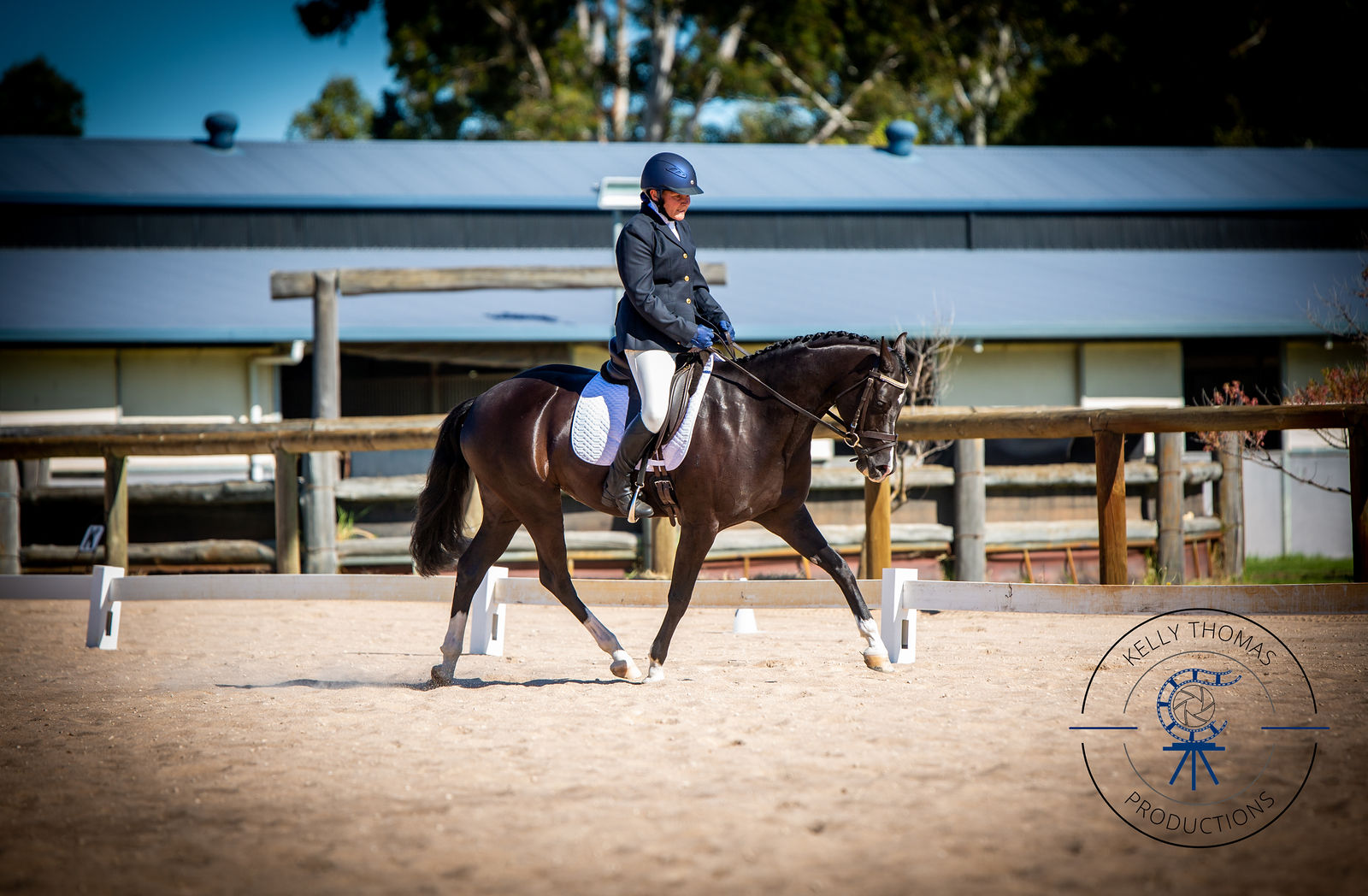 K&K Equine- Stella Equestrian Dressage Series 2 by Kelly Thomas Productions