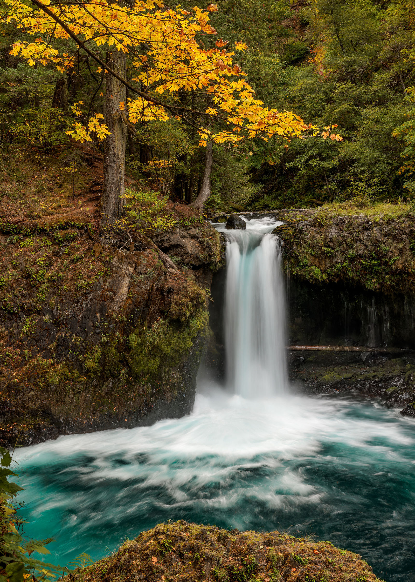 Photo Tour w/ Rod & James by Lasting Light Photography