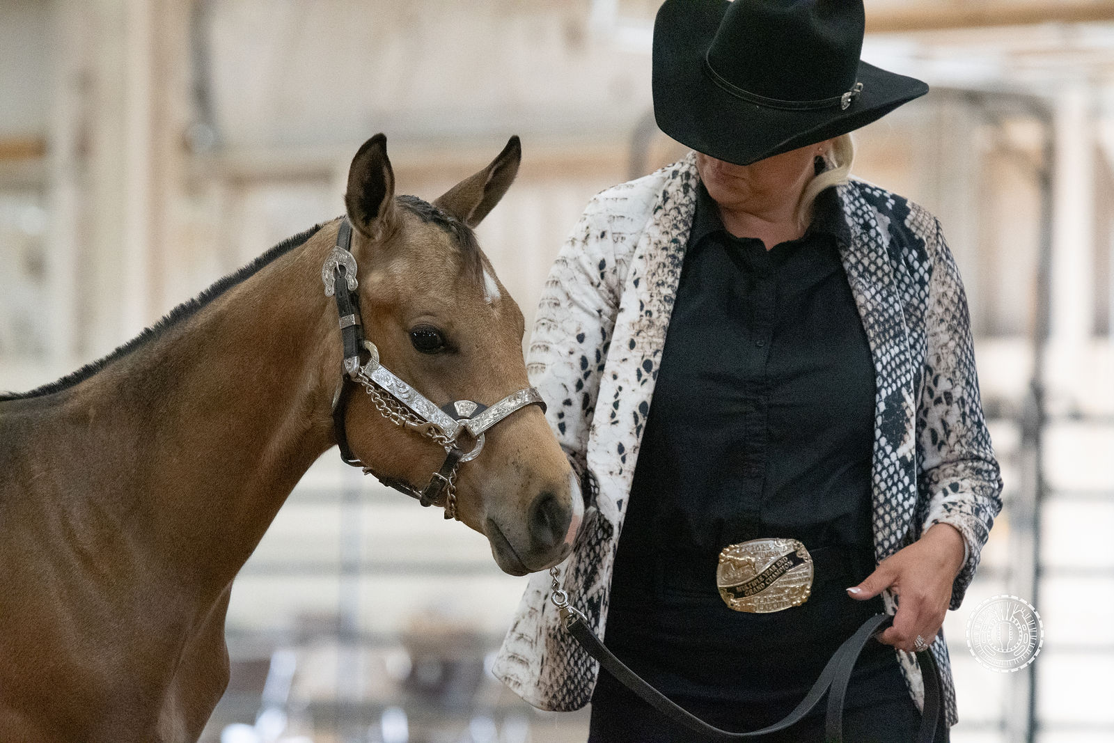 UMBHA #2 by Riff+Halter Media