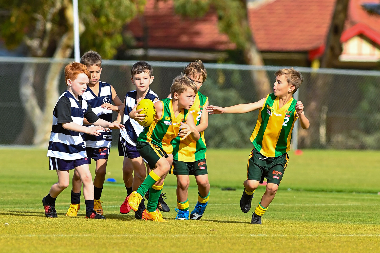 2025 Under 8s by Snapaction