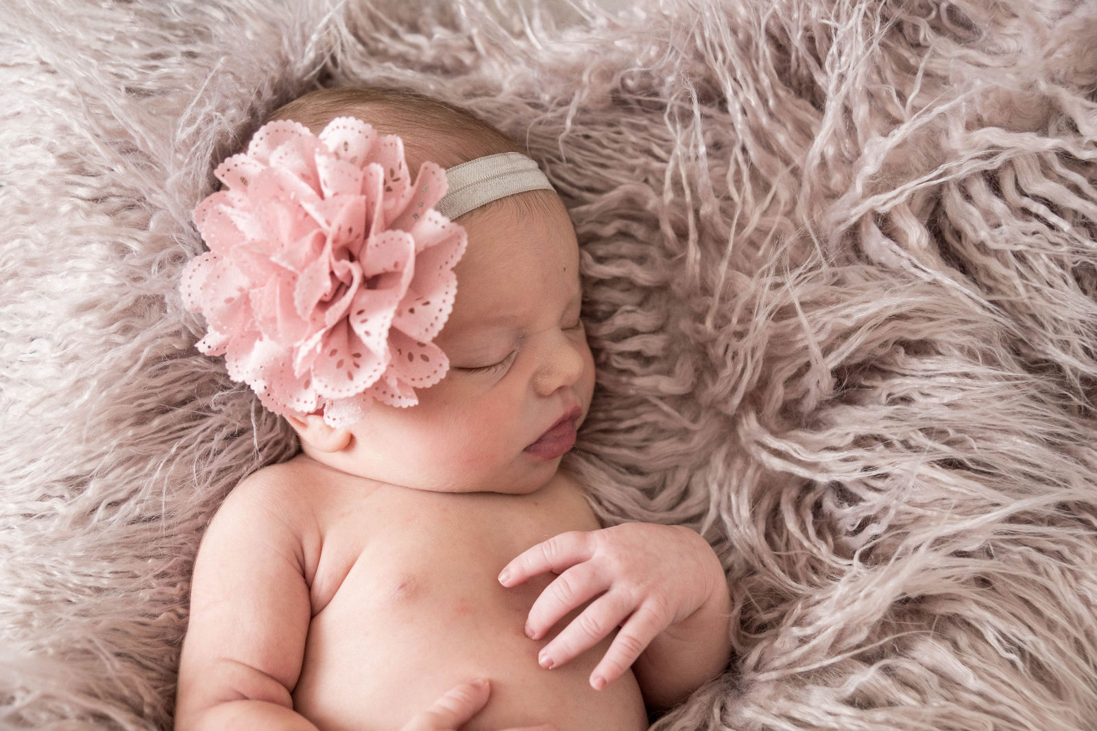 Welcome Harper by Frozen Moments Photography
