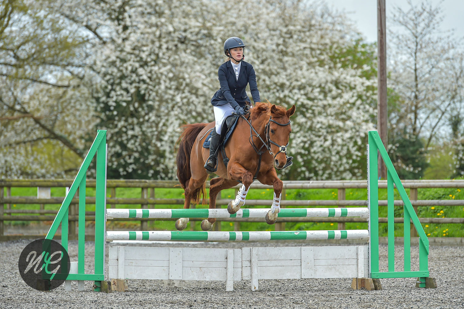 Snowball Farm Unaffiliated Show Jumping by Neil Gregory Photography