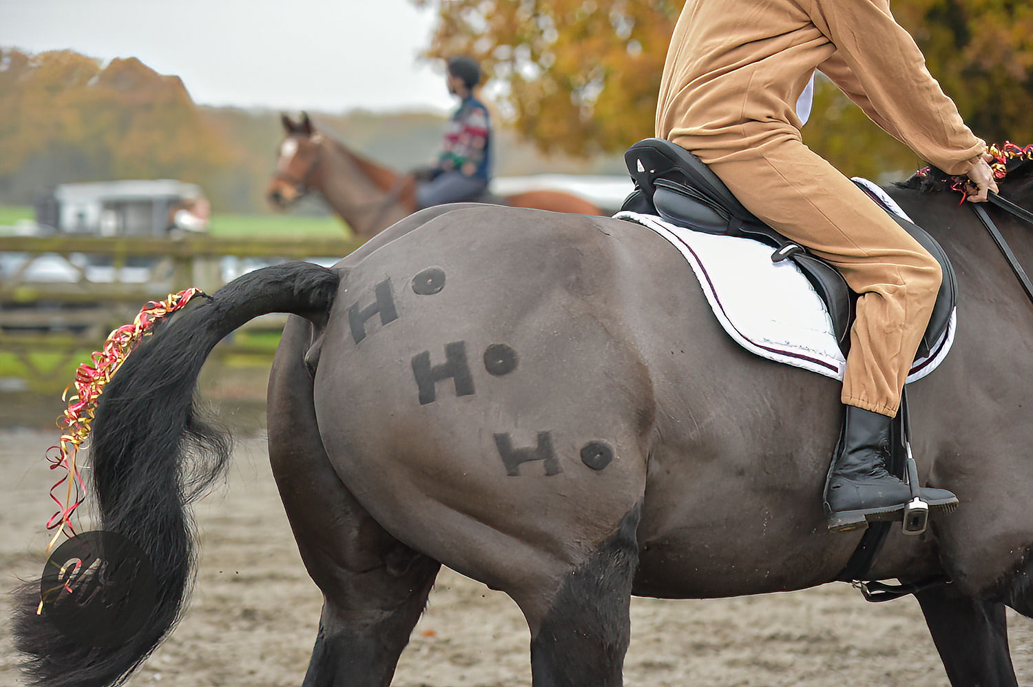 Snowball Farm Unaffiliated Show Jumping by Neil Gregory Photography