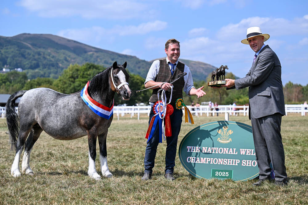 National Welsh Championship Show 2025 by EquinePix Photography